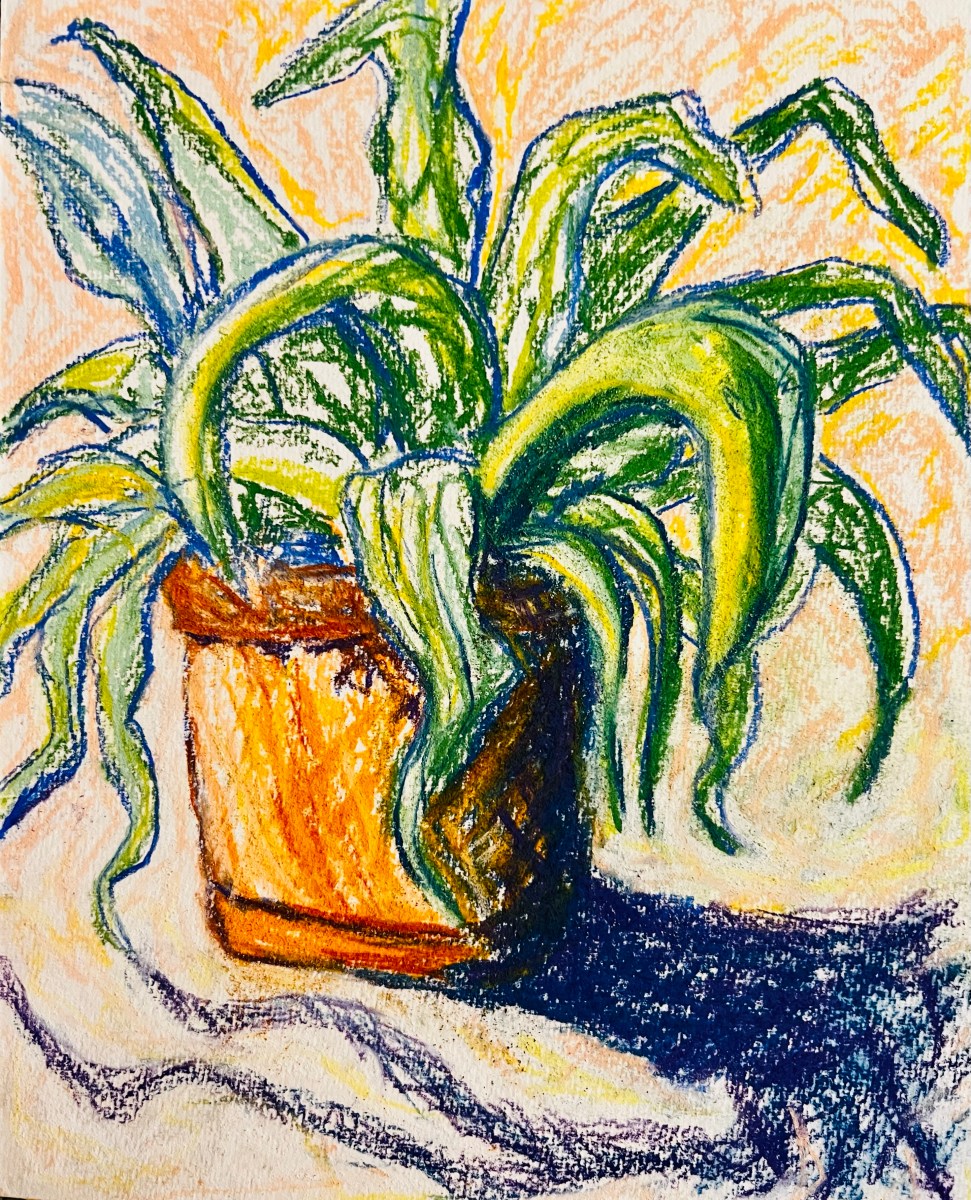 More Pastel Plants – 366 Days of Art